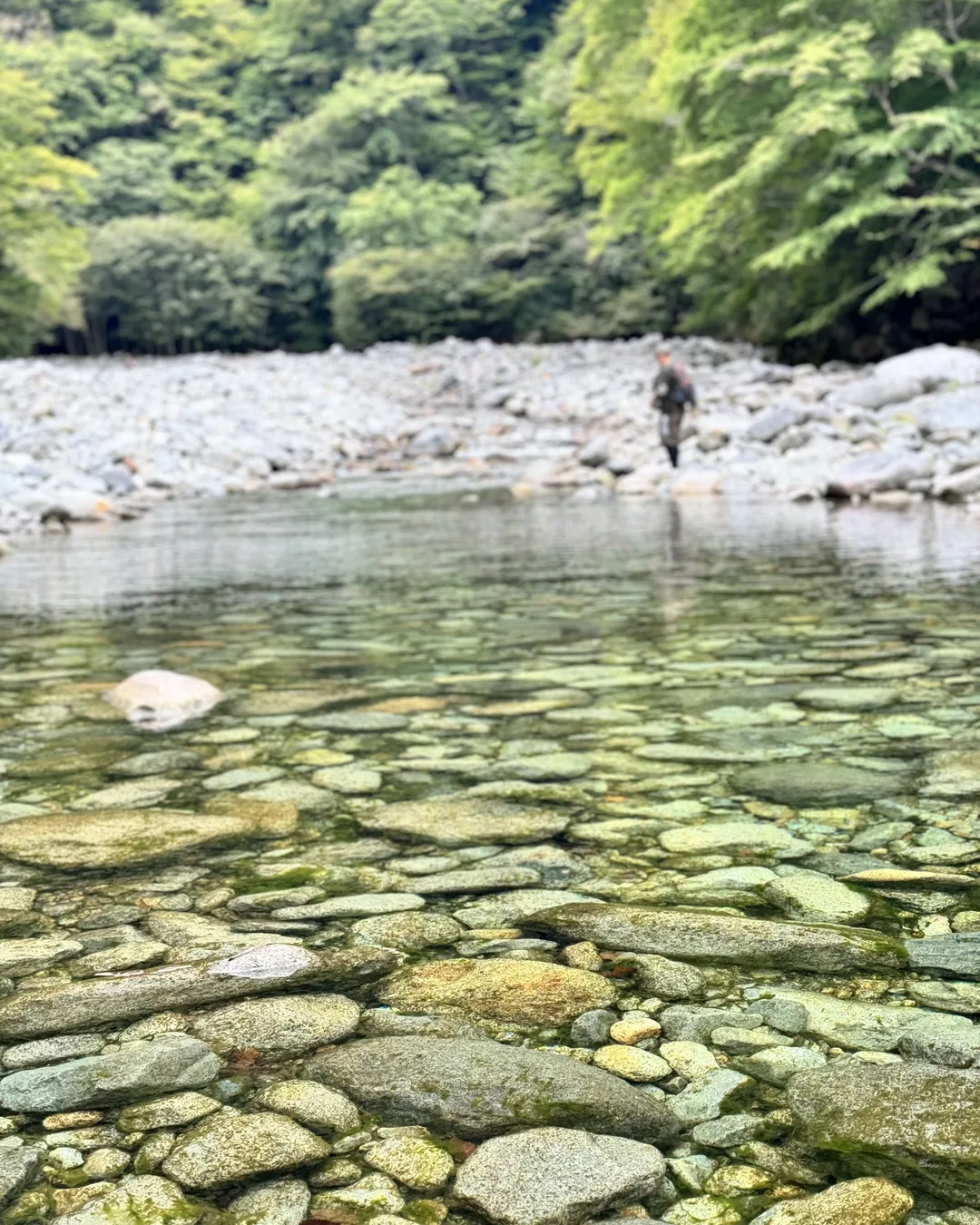 Nishizawa Gorge - Rural Travels, Japan - Rexby