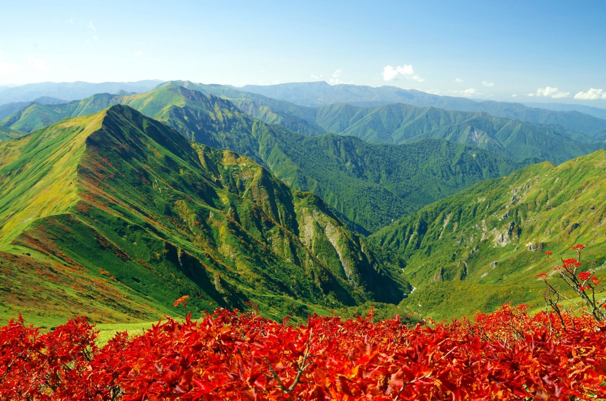 Hiking Tips for Each Season by Tony Xia - Rural Travels, Japan - Rexby