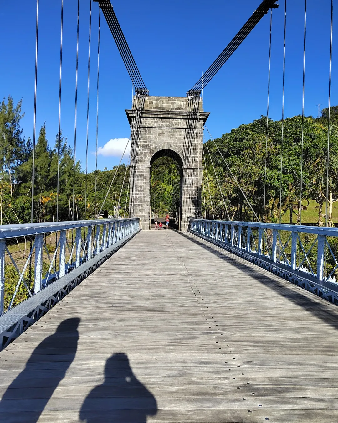 Suspension bridge of East River - Réunion - Rexby