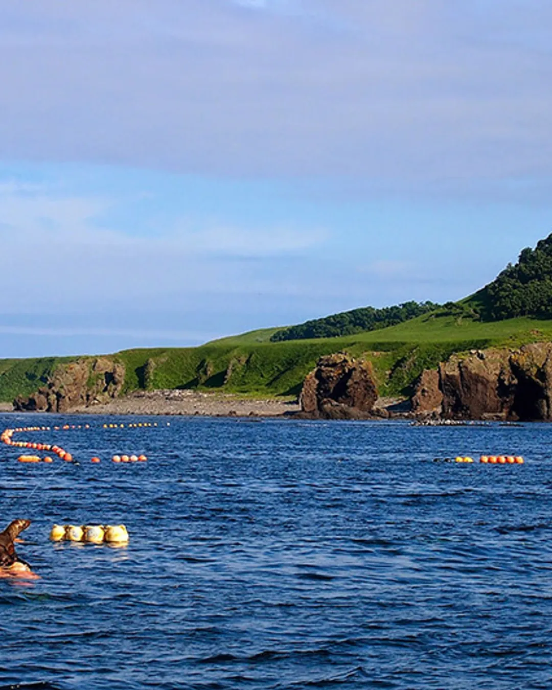 GOJIRAIWA KANKO Utoro Office - Rural Travels, Japan - Rexby