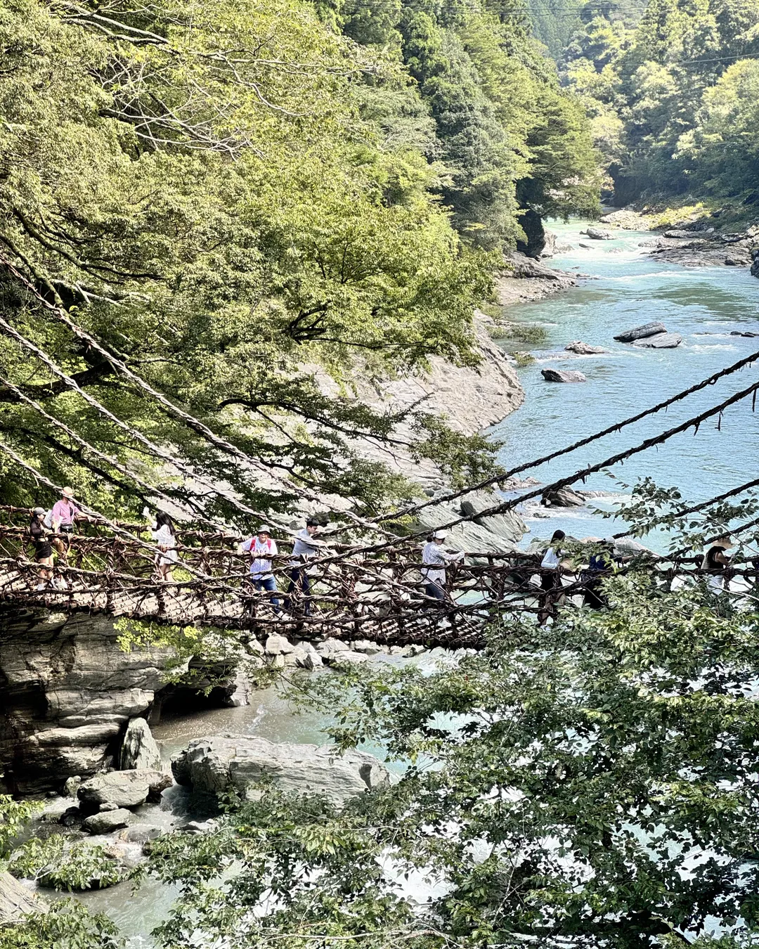 Vine Bridge in the Iya Valley - Rural Travels, Japan - Rexby