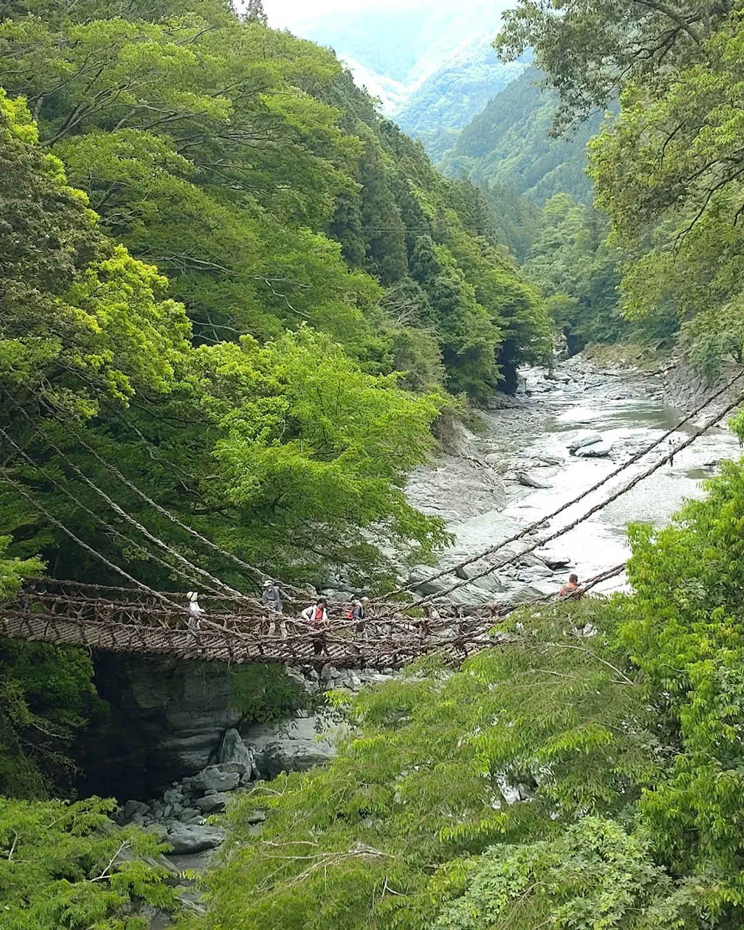 Vine Bridge in the Iya Valley - Rural Travels, Japan - Rexby