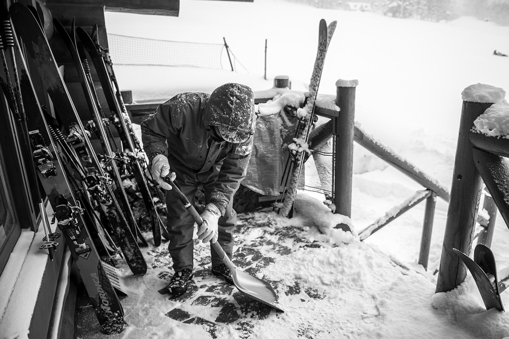 WHEN TO GO TO JAPAN by Charlie Cohn - Hokkaido, Japan - Rexby