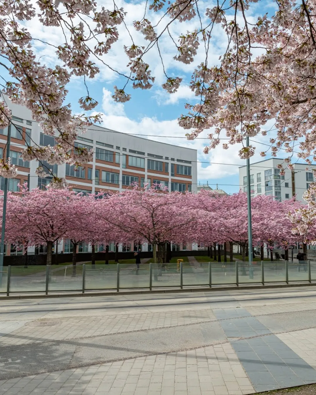 Luma Park - Stockholm, Sweden - Rexby