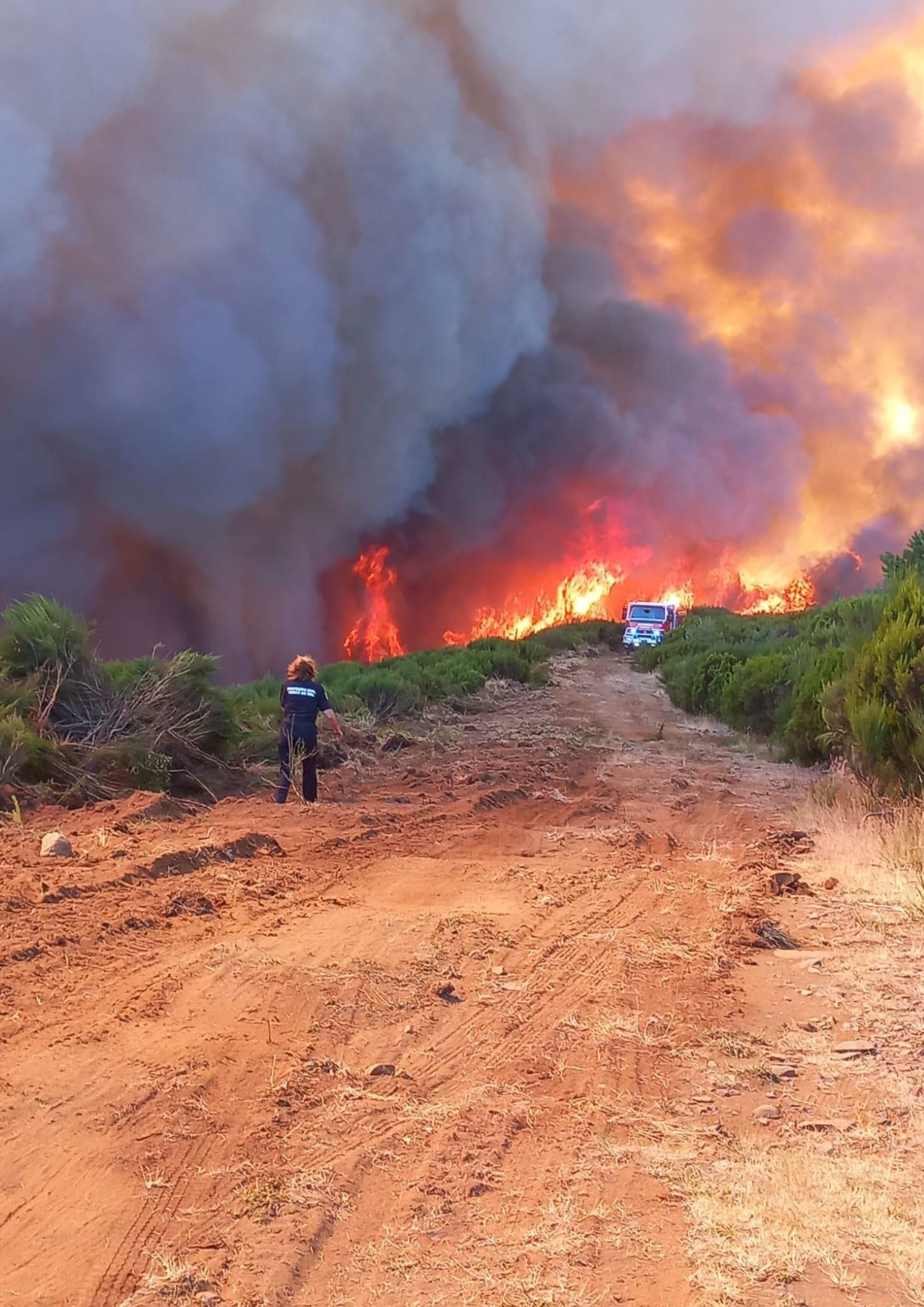 how to visit madeira safely during WILDFIRES by Monica | The Madeira ...