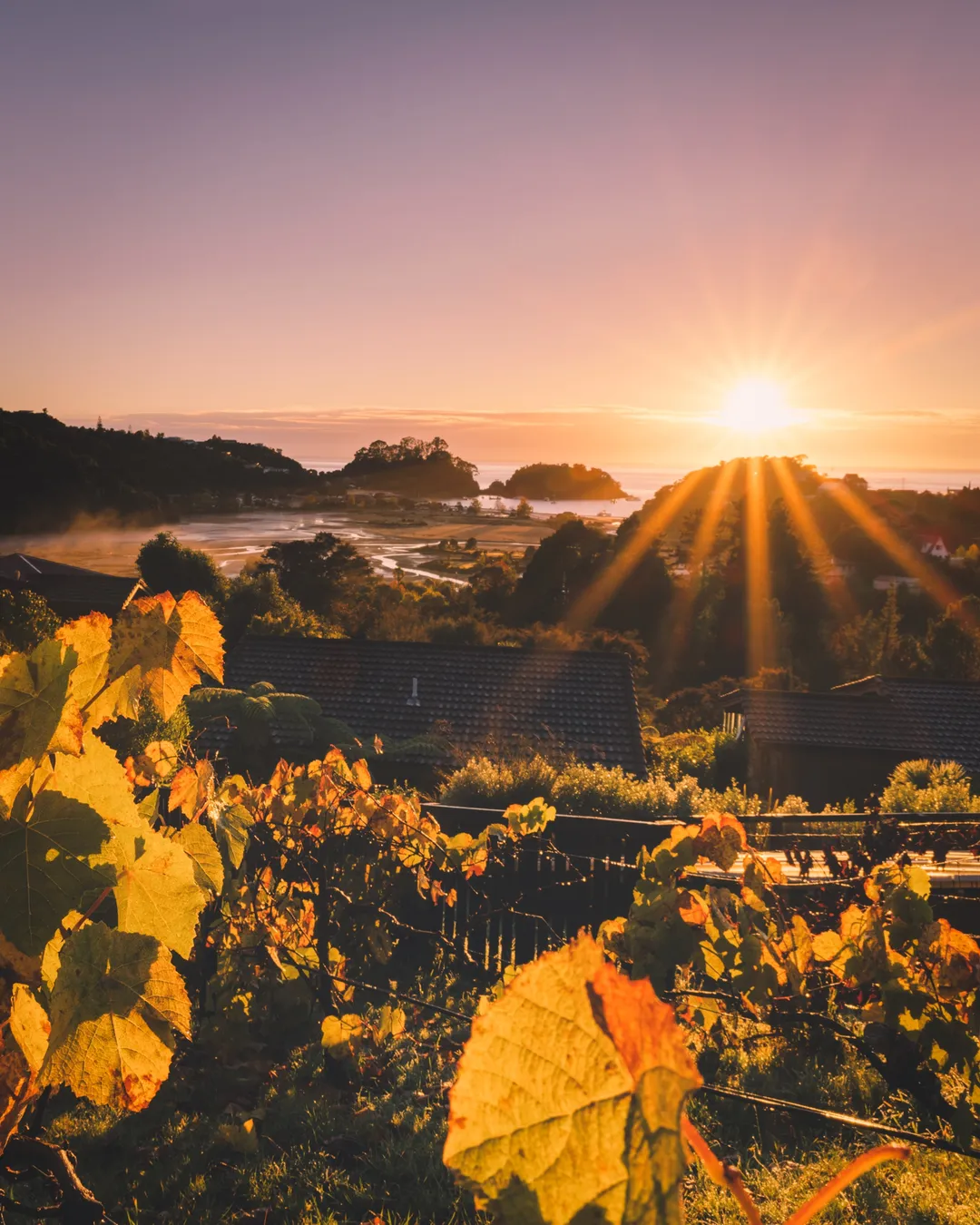 Kimi Ora Eco Resort Tasman - New Zealand - Rexby