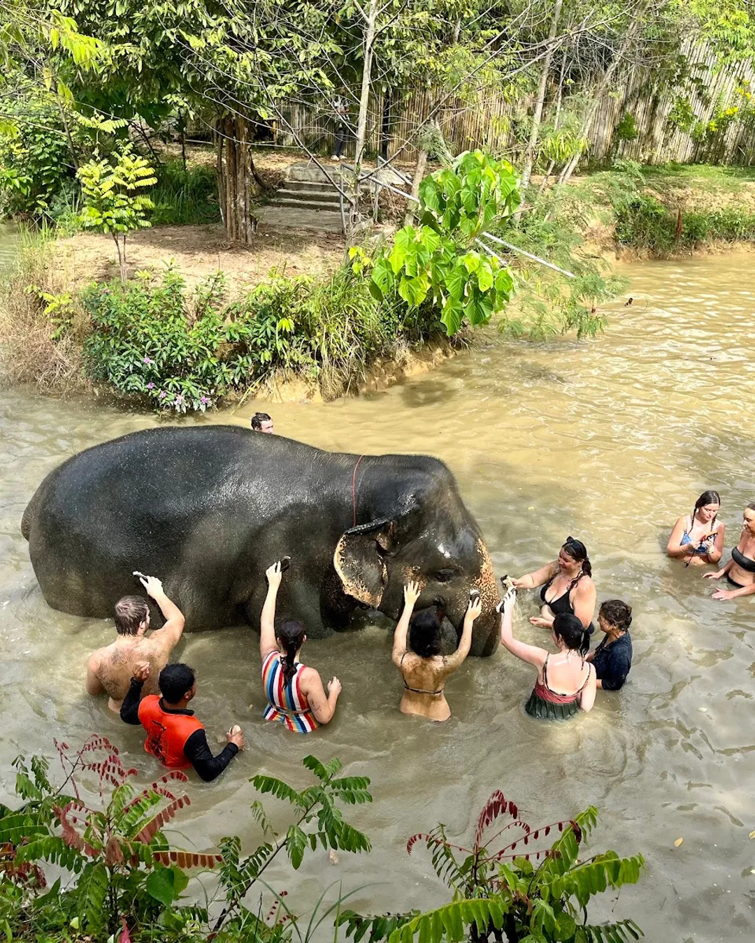 Elephant Jungle Sanctuary Phuket - Phuket, Thailand - Rexby