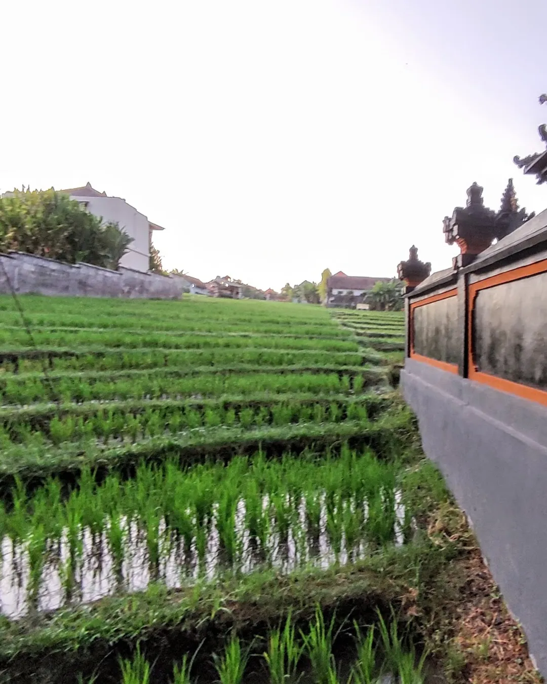"The CANGGU Area" - Bali, Indonesia - Rexby